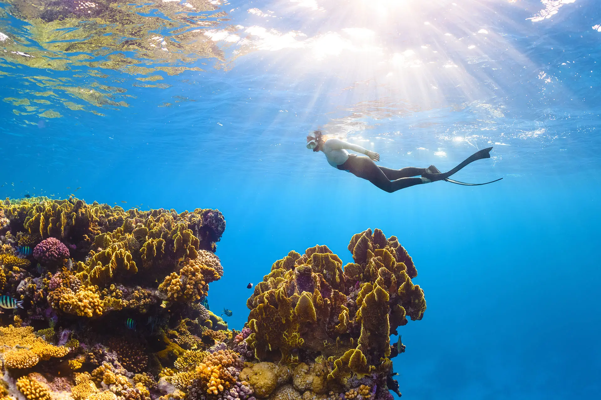 Saudi Tourist Attractions | Sighteeing | Activities| Places to Visit